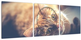 Obraz kočky na podlaze (s hodinami) (90x30 cm)