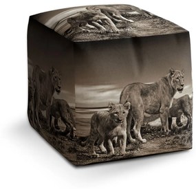 Sablio Taburet Cube Lvice a lvíčata: 40x40x40 cm