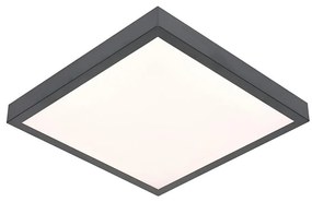 LED Stropní svítidlo VITALI LED/24W/230V
