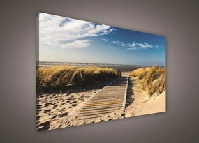 Postershop Obraz na plátně: Cesta na pláž (2) - 75x100 cm