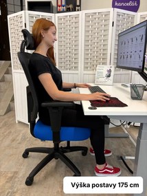 Office Pro Kancelářská ergonomická židle NATUS Q24 – síťovaná, nosnost 180 kg, záruka 3 roky modrá