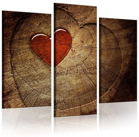 Obraz - Old love does not rust - triptych