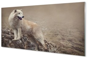 Obraz na skle vlk hory 125x50 cm