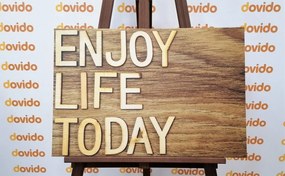 Obraz s citací - Enjoy life today