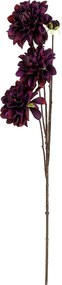 Větevicka dahlie 90 cm