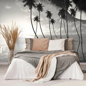 Samolepící tapeta černobílé tropické palmy