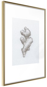 Artgeist Ginger Rhizome Velikosti (šířkaxvýška): 20x30, Finální vzhled: Zlatý rám