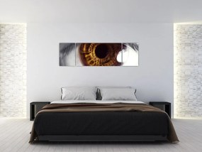 Obraz - Oko (170x50 cm)