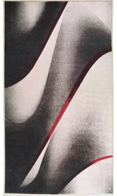 Bílo-černý pratelný koberec 230x160 cm - Vitaus