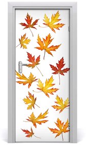 Fototapeta na dveře Podzimní květiny 75x205 cm
