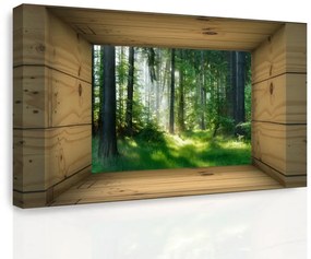 Malvis ® Obraz - Okno do lesa Velikost: 90x60 cm