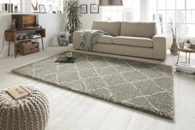 Mint Rugs - Hanse Home koberce Kusový koberec Allure 102752 grau creme - 200x290 cm