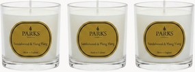 Sada ručně vyrobených vonných svíček Vintage Aromatherapy (santalové dřevo, ylang-ylang, teplá ambra), 3 díly
