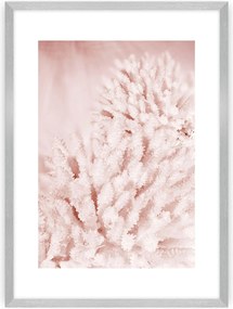 Plakát Pastel Pink II