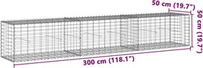 Gabionový koš s víkem 300 x 50 x 50 cm pozinkované železo 3295134
