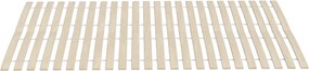 Náhradní lamely k posteli s 48 lamelami 2 ks 80x200 cm 3203724