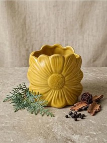 Sinsay - Vonná svíčka Cedarwood & Cypress - hořčicová