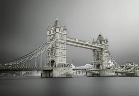 Postershop Fototapeta vliesová: Šedivý Tower Bridge - 254x368 cm