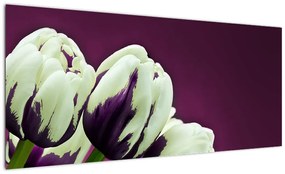 Makro tulipánů - obraz (100x40cm)