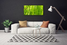 Obraz na plátně Tráva Beruška Příroda 120x60 cm