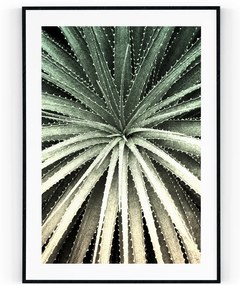 Plakát / Obraz Cactus S okrajem Pololesklý saténový papír 210 g/m² A4 - 21 x 29,7 cm