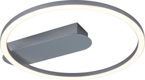 Livarno home Stropní LED svítidlo (kulatá)