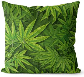 Polštář Cannabis (Velikost: 55 x 55 cm)