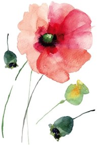 AS-rovi Crearreda WA XXL Watercolour Poppies 81003 Akvarel vlčí máky