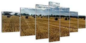 Obraz sklizeného obilného pole (210x100 cm)