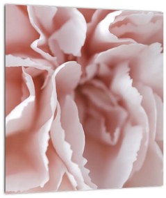 Obraz - Detail květu (30x30 cm)