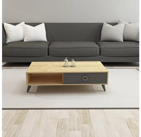 Asir | Konferenční stolek SILVER 33x90 cm antracit/béžová | AS1297