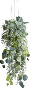 FLORISTA Eukalyptus převislý mix 65 cm
