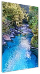 Wallmuralia Vertikální Foto obraz sklo tvrzené Řeka v lese 50x100