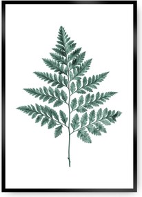 Plakát Fern Emerald Green