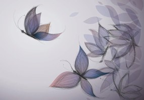 Fototapeta - Kreslení motýli (245x170 cm)