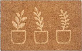 Hanse Home, Rohožka Rostliny 105562 - na ven i na doma, 45x75, hnědá, chodba / předsíň
