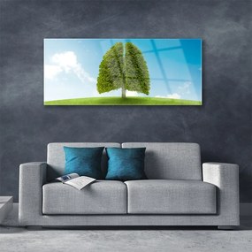 akrylový obraz Tráva Strom Plíce Příroda 125x50 cm