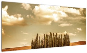 Obraz ostrůvku stromů uprostřed pole (100x40cm)