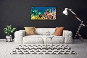 Obraz na plátně Korálový Útes Příroda 100x50 cm