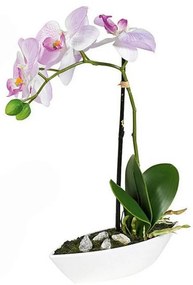 XXXLutz ORCHIDEJ orchidej 28 cm - 0041770478