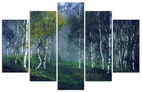 Obraz na plátně pětidílný Březový les v mlze - 100x70 cm