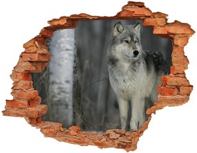 Wallmuralia Díra 3D fototapeta na stěnu Šedý vlk 90x70 cm
