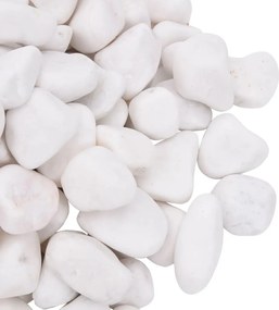 vidaXL Leštěné oblázky 10 kg 2–5 cm [155329] Barva: Bílá