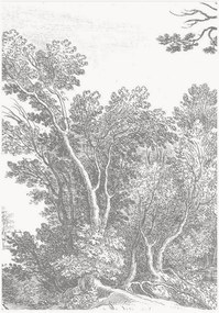 Tapeta Engraved Landscapes V