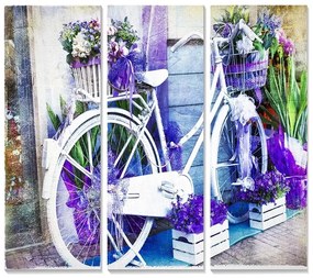 Obrazy v sadě 3 ks 20x50 cm Lavender – Wallity