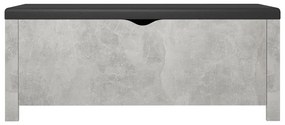 Úložný box s poduškou betonově šedý 105x40x45 cm dřevotříska - Default Title