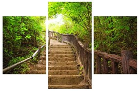 Obraz schodů vedoucích krajinou (90x60 cm)