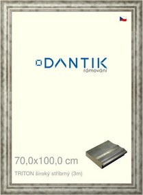 DANTIK rámeček 70x100 | TRITON široký stříbrný (Plexi Čiré)