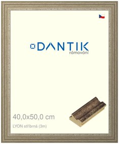 DANTIK rámeček 40x50 | LYON stříbrná (Plexi Čiré)