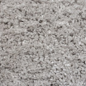 Flair Rugs, Kusový koberec Shaggy Teddy Grey, 200x290, šedá, ložnice